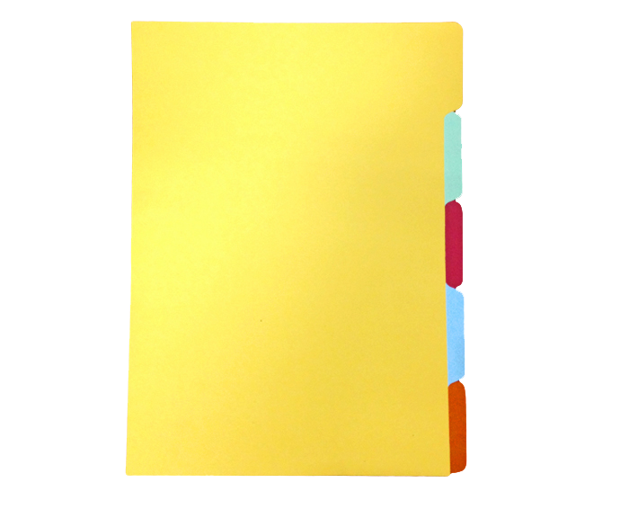 coloured folder dividers